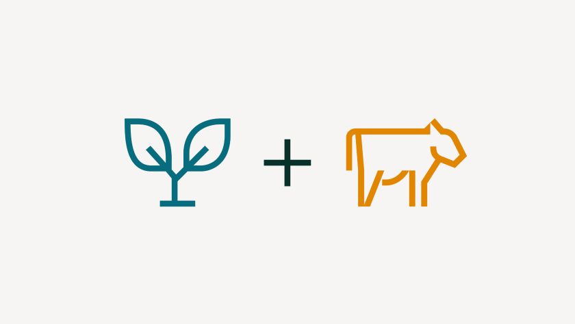 Soutenir la santé animale | Rapport d'impact