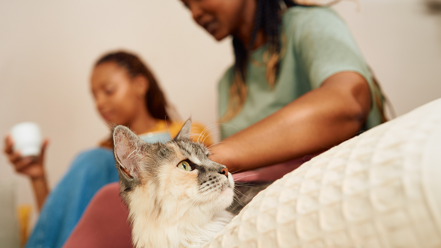 Animal Health | Boehringer Ingelheim