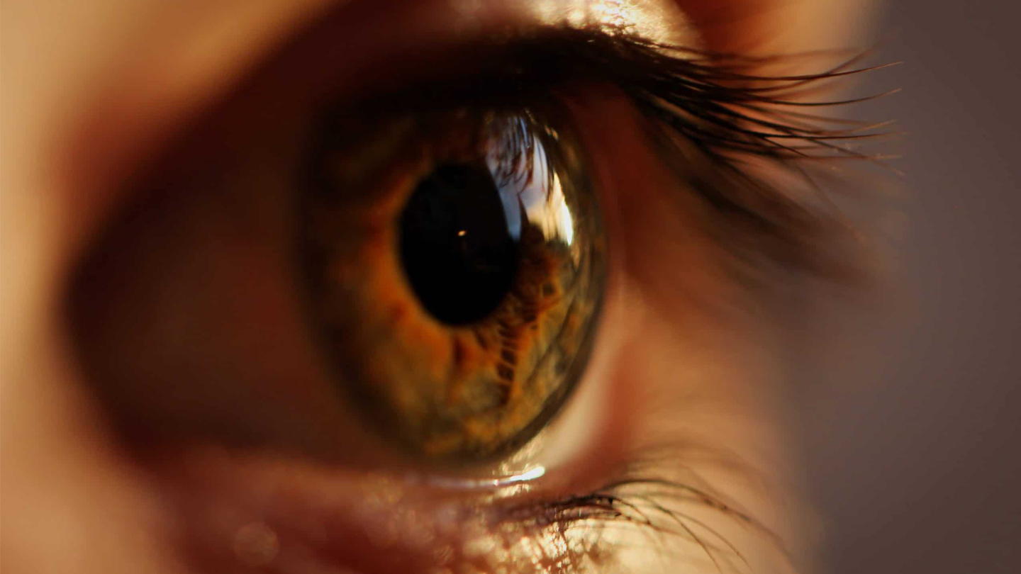 Eye Health | Boehringer Ingelheim