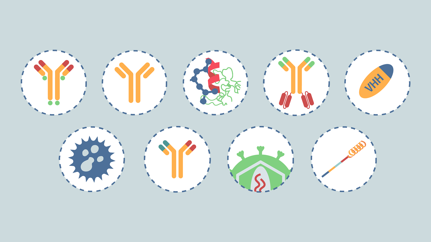 Biotherapeutics Discovery | Boehringer Ingelheim