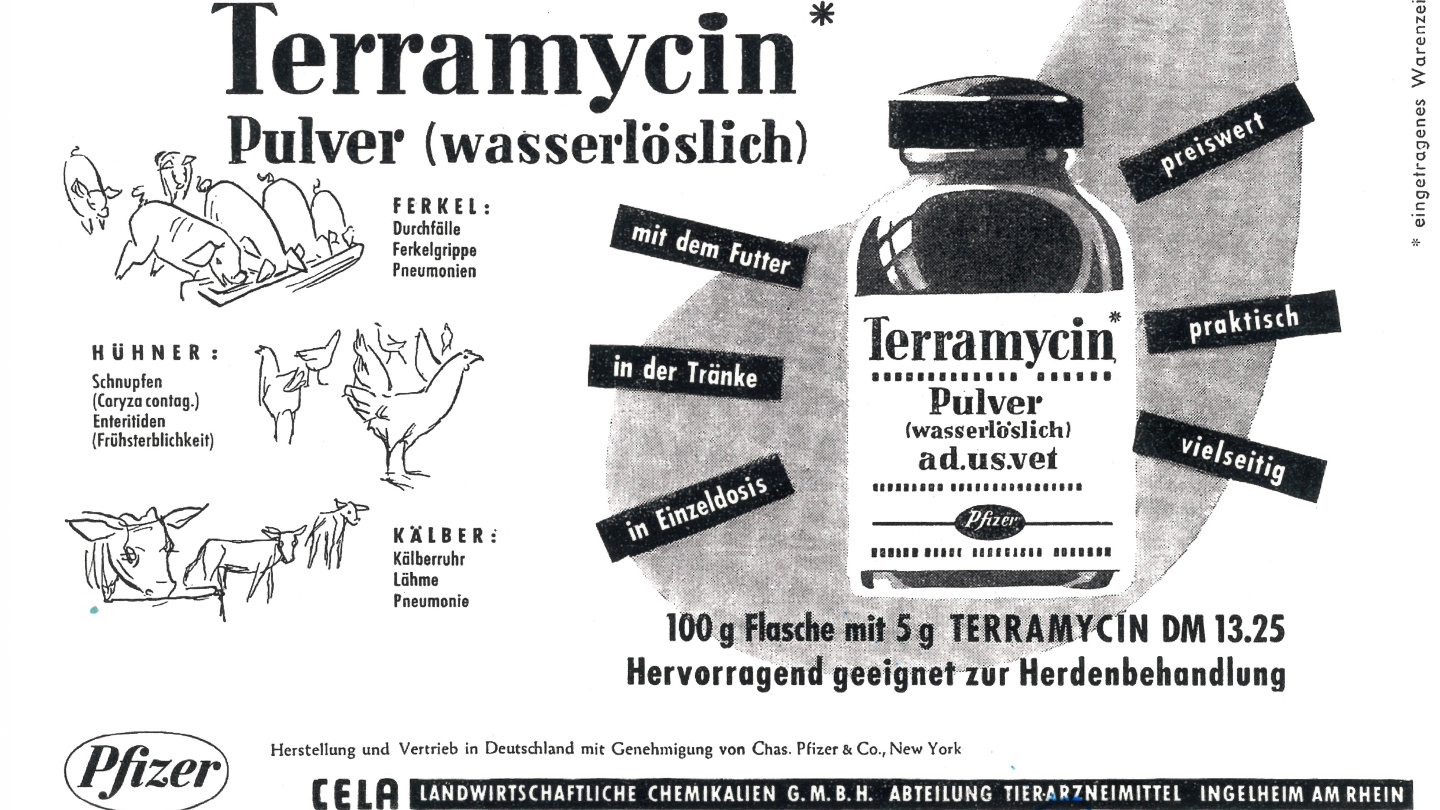 1948-1990: Going global | Boehringer Ingelheim