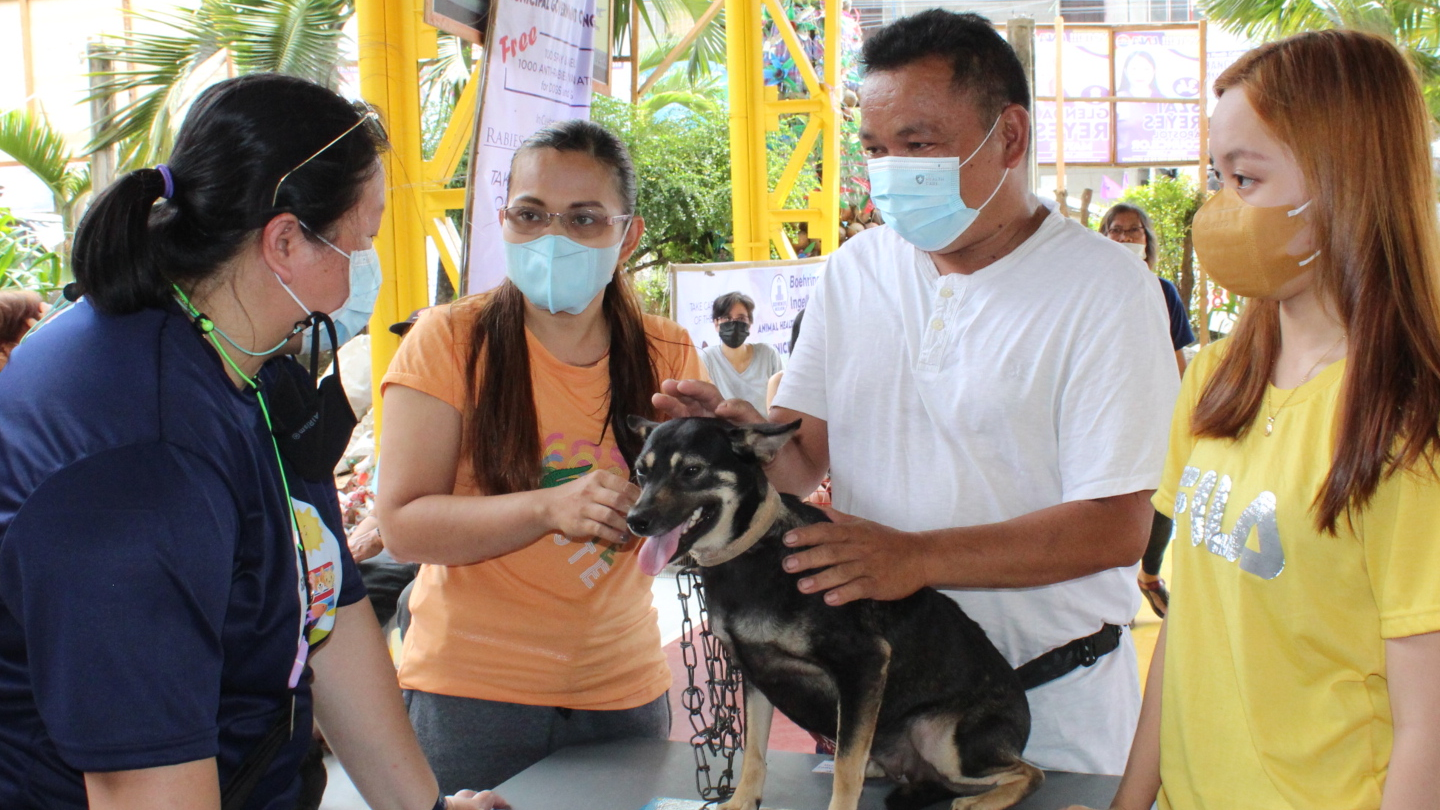 Rabies prevention local action partnering organizations | Boehringer ...