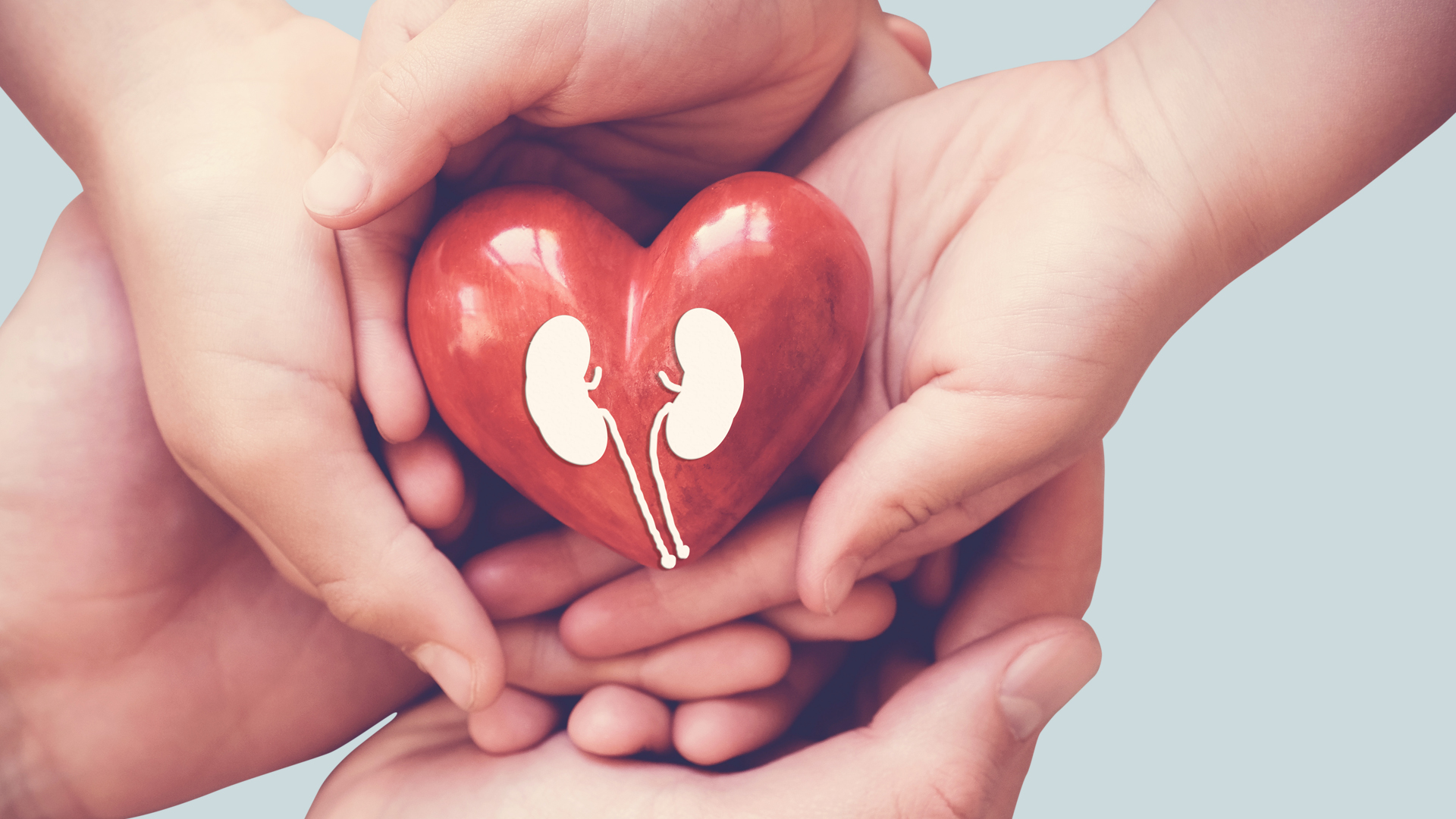 CHMP recommends new treatment for chronic kidney disease | Boehringer ...