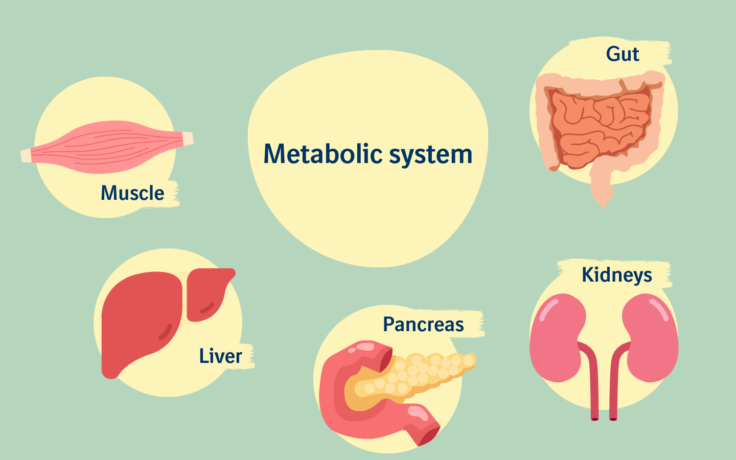 Chronic kidney disease is a silent killer | Boehringer Ingelheim