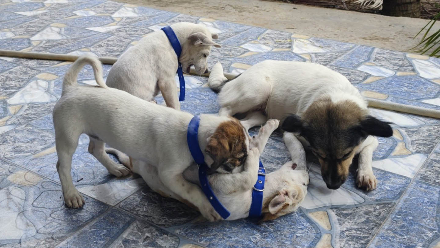 Health for all: How can we contribute to inclusive access? | Boehringer ...