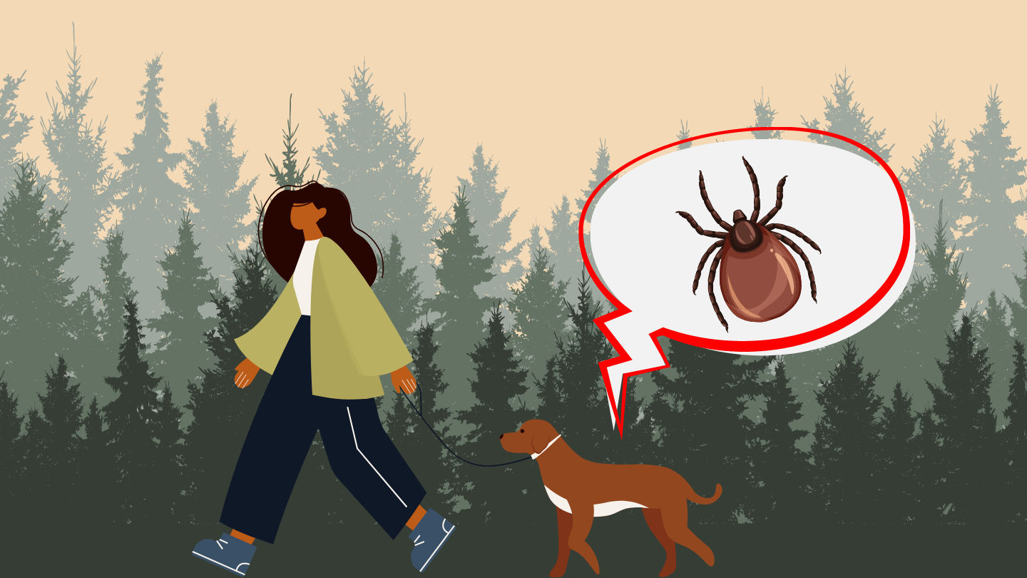 Dog parasites: What you should know | Boehringer Ingelheim