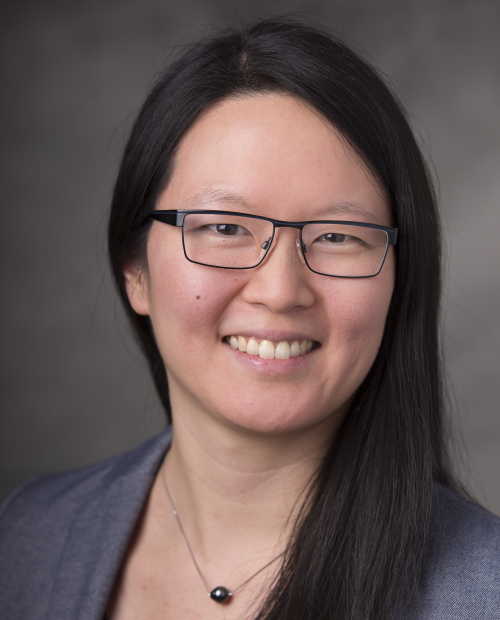 Launch VETMEDIN Solution oral solution congestive heart failure in dogs ...