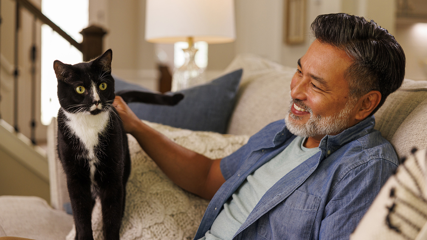 cat feline diabetes medication treatment eu approval | Boehringer Ingelheim