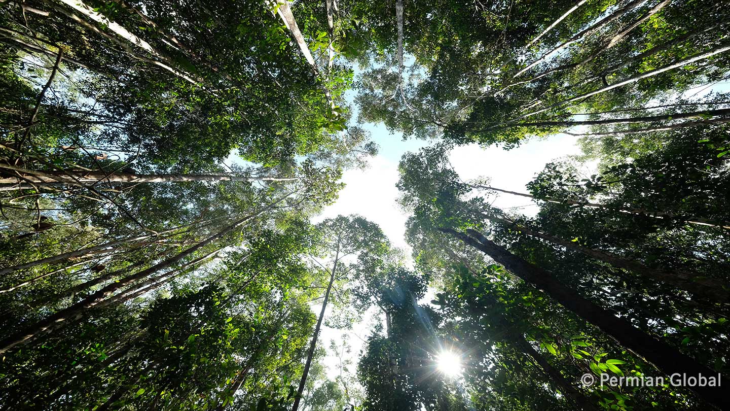 Boehringer launches new edition global hub sustainability | Boehringer ...