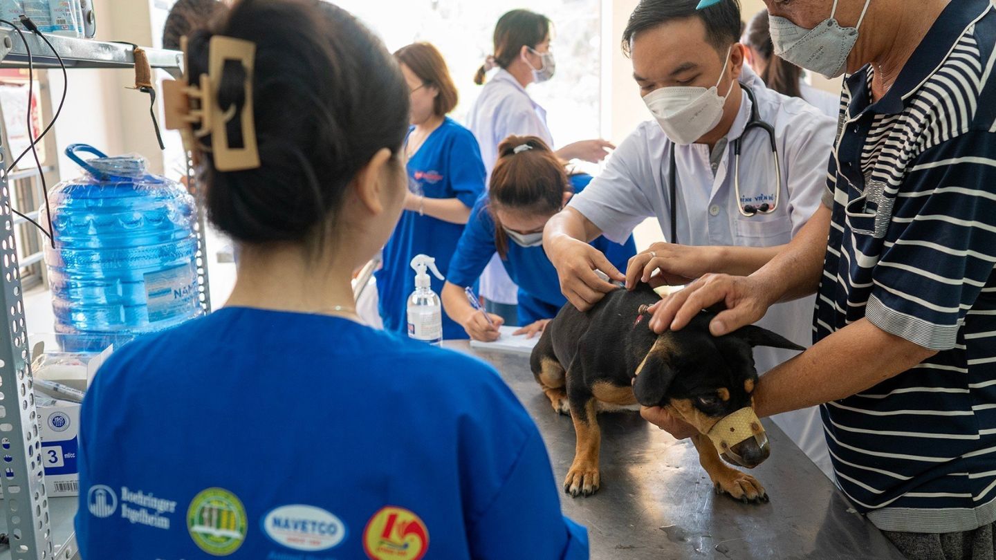 STOP Rabies: moving towards elimination | Boehringer Ingelheim