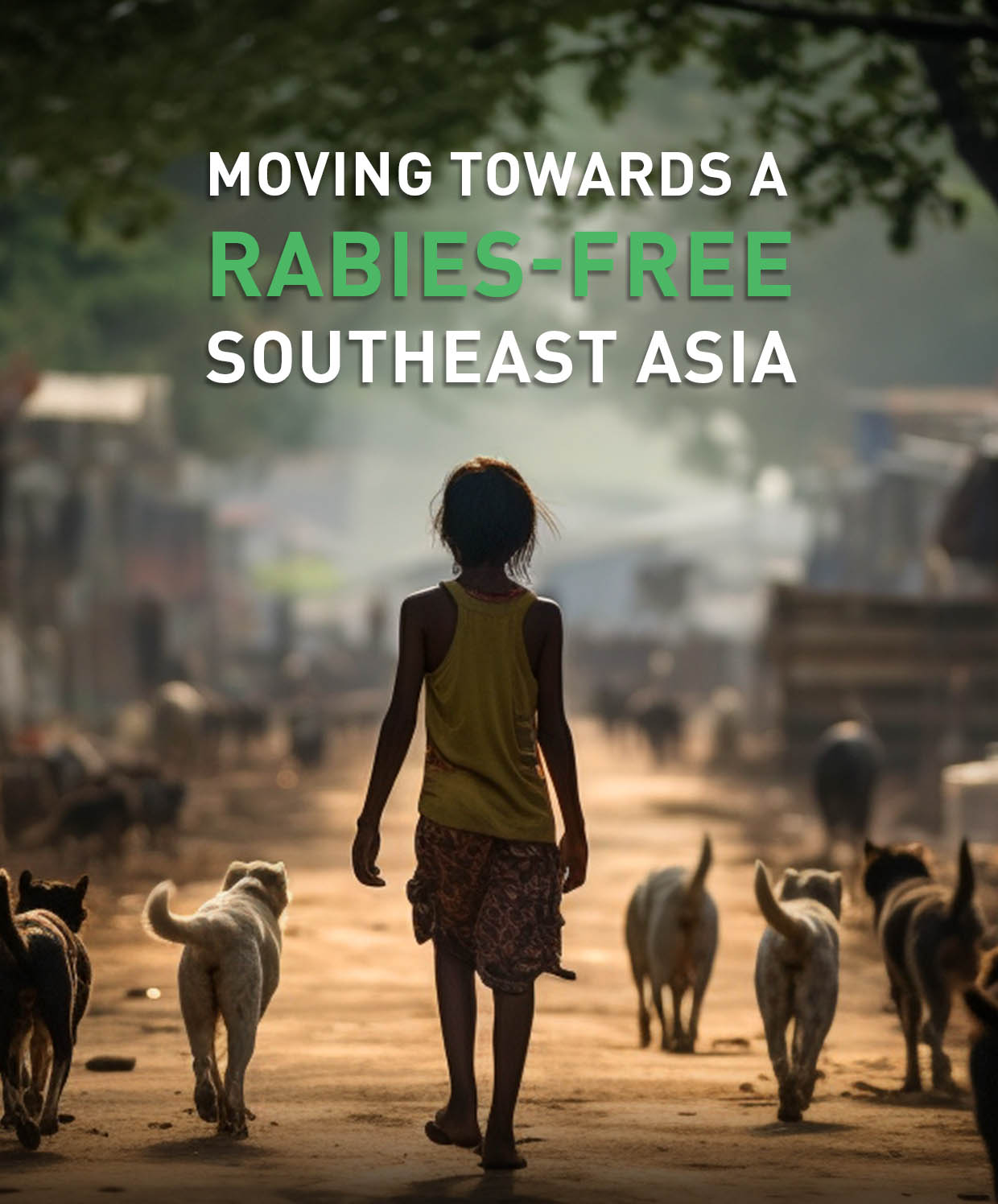 Rabies prevention through education and vaccination | Boehringer Ingelheim