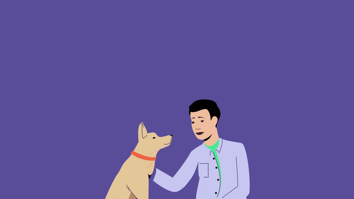 Risk of parasites in dogs | Boehringer Ingelheim