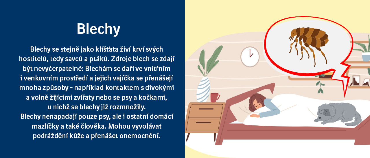 Parazité u psů: Co je dobré vědět | Boehringer Ingelheim