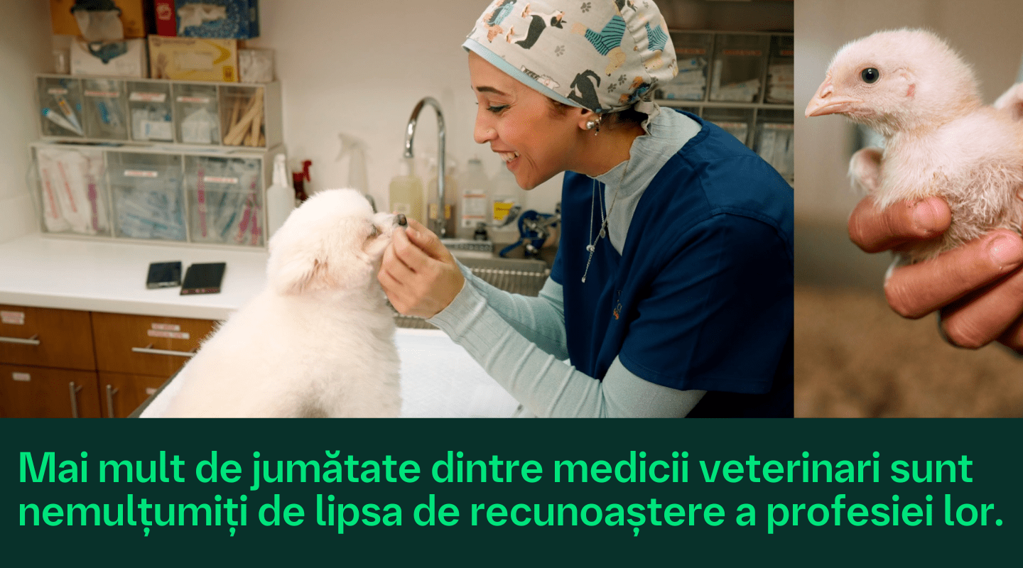Medicii veterinari fac mai mult decât trebuie și (mult) mai mult decât ...