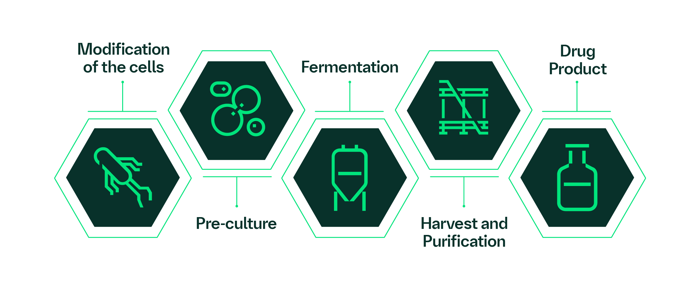 Monoclonal Antibody Production | Bioxcellence | Boehringer Ingelheim ...