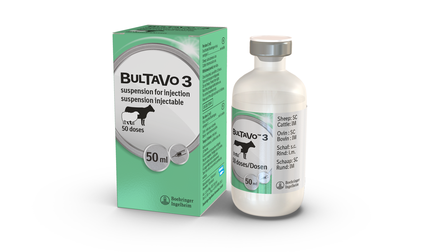 Vaccine bluetongue virus serotype 3 sheep cattle | Boehringer Ingelheim