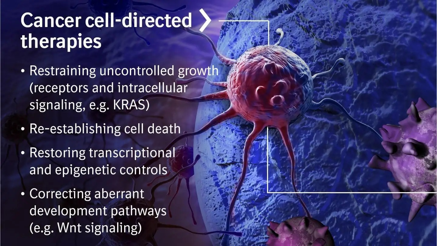 Innovation in Oncology and Cancer Immunology Research | Boehringer ...