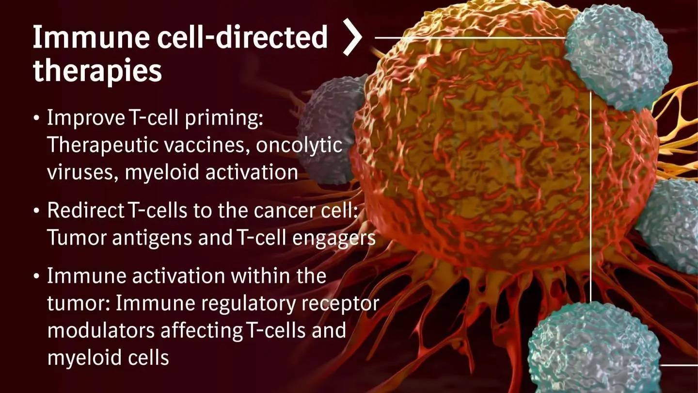 Innovation in Oncology and Cancer Immunology Research | Boehringer ...