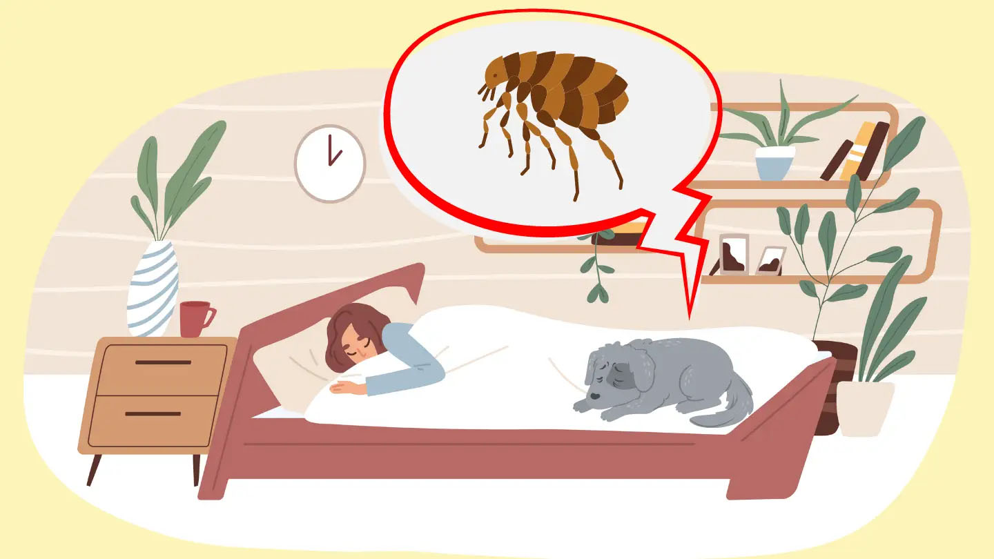 Los parásitos de los perros: Esto es lo que debes saber | Boehringer ...