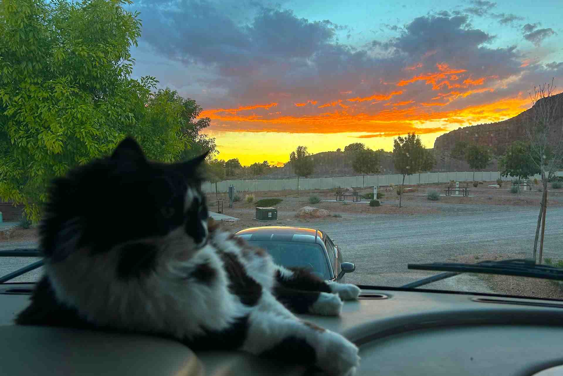 Big Little Things in cancer: small things, big impacts | Boehringer ...