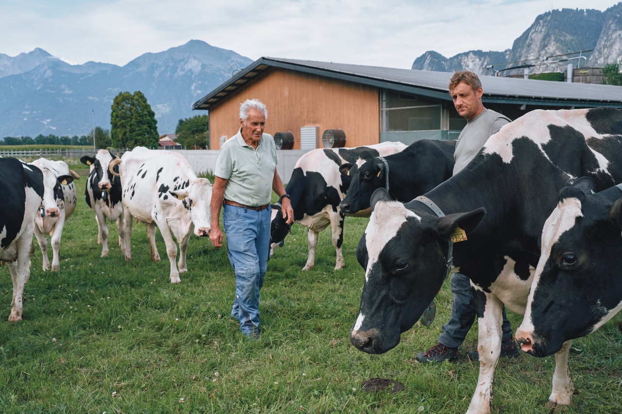 Animal Health Partnering | Boehringer Ingelheim