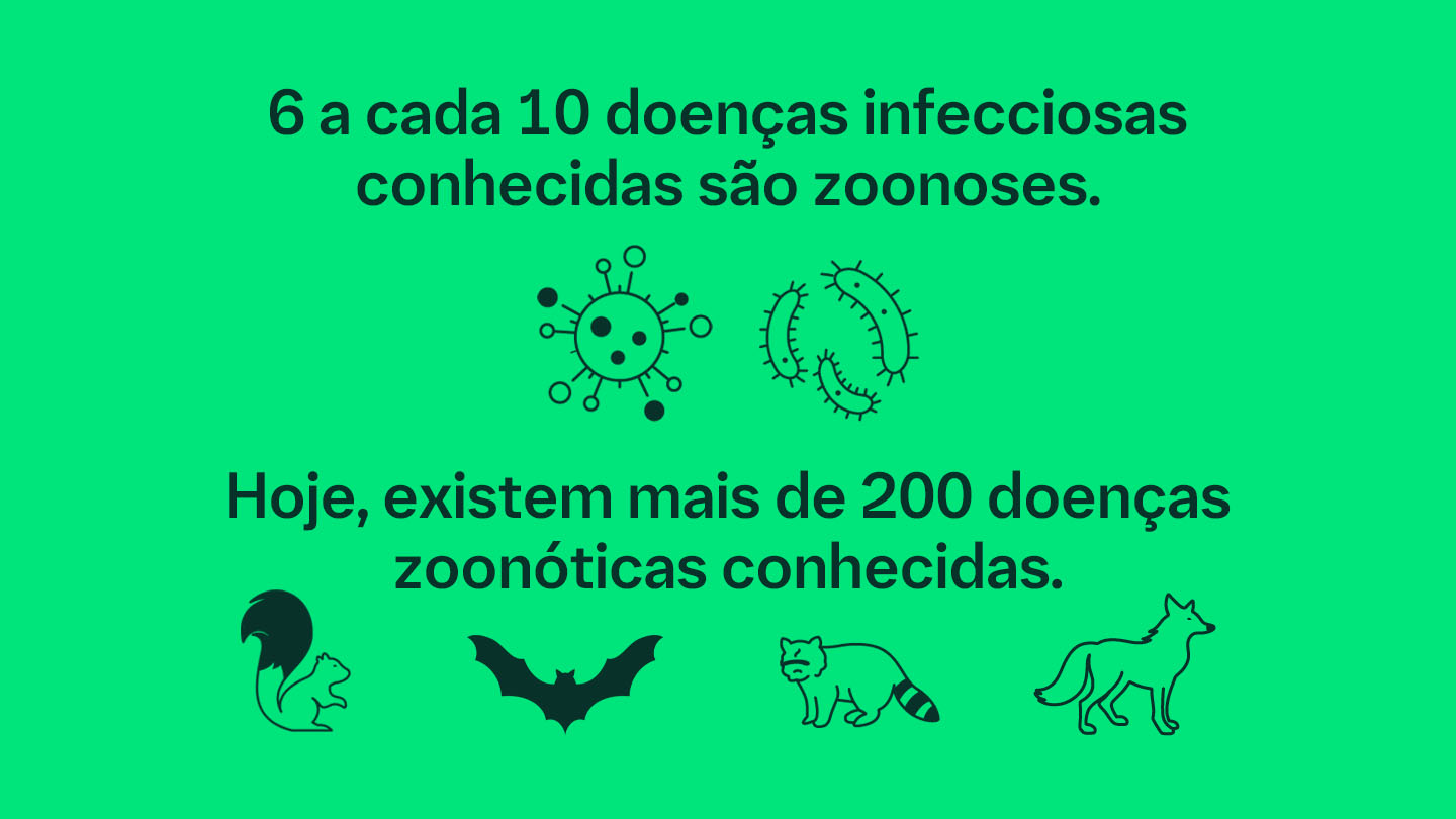 Doenças zoonóticas: 3 coisas que você precisa saber | Boehringer Ingelheim