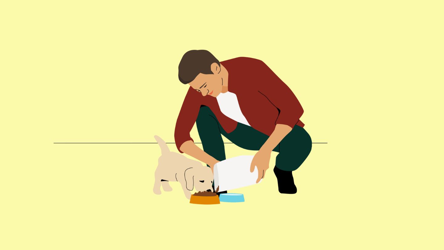 Boehringer Ingelheim übernimmt Saiba Animal Health | Boehringer ...