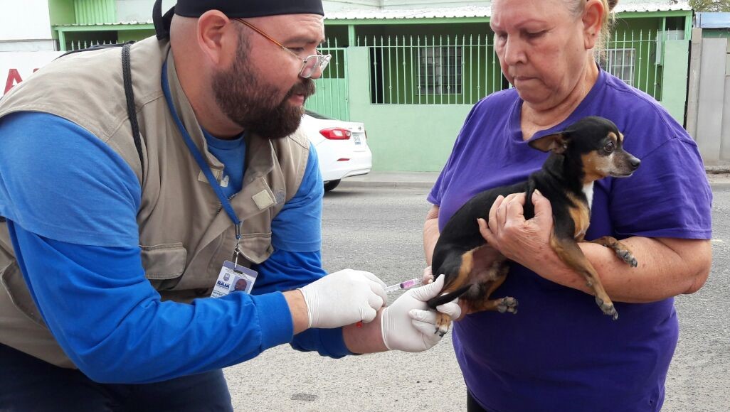 Rabies? Not in Mexico! | Boehringer Ingelheim