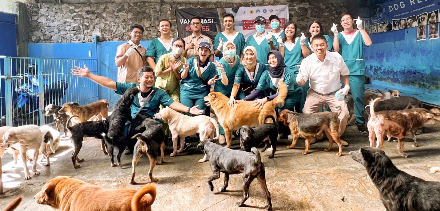 More Stories | Boehringer Ingelheim