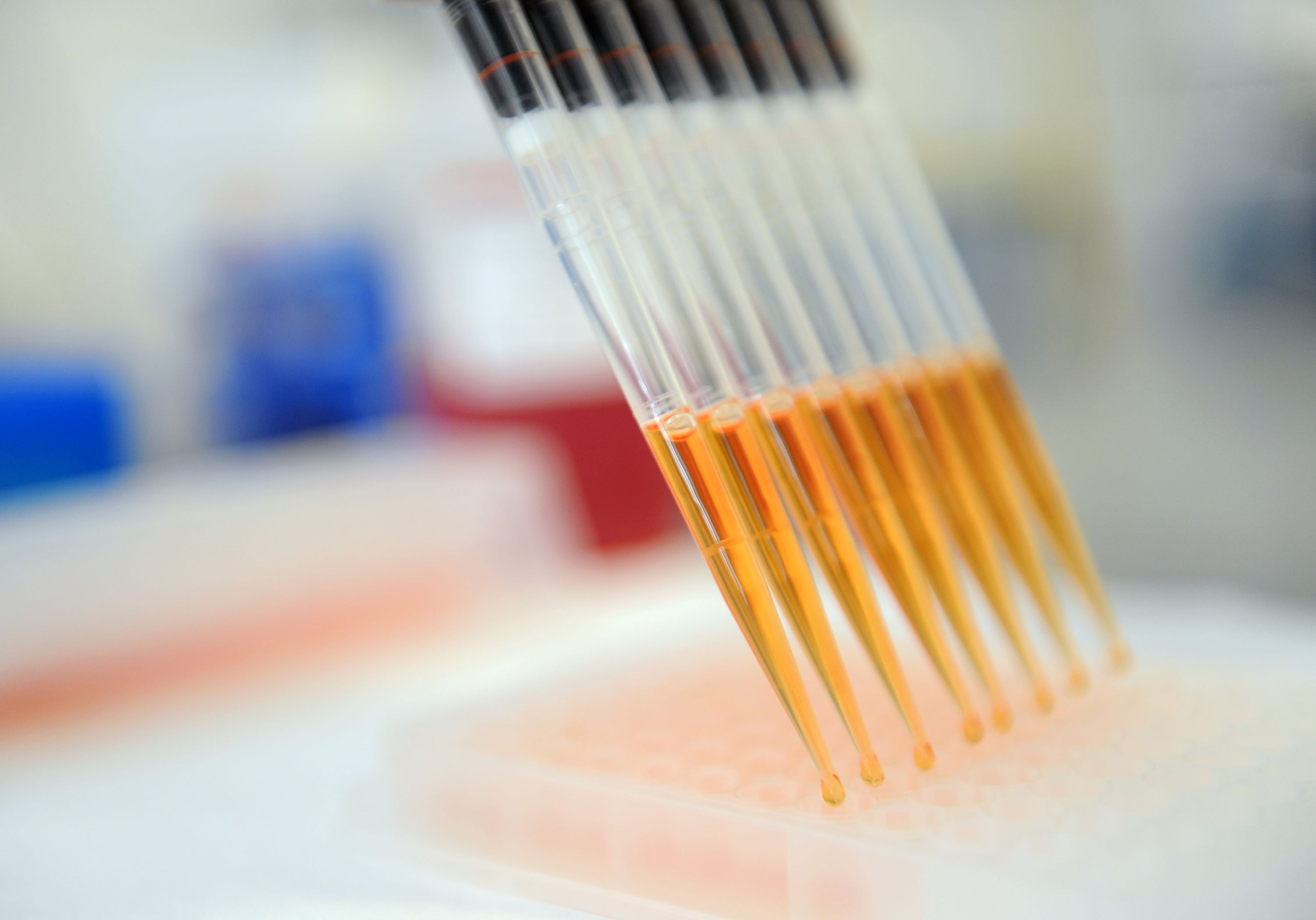 Press Releases | Boehringer Ingelheim