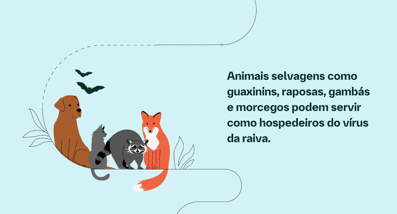 10 coisas que você deve saber sobre raiva | Boehringer Ingelheim