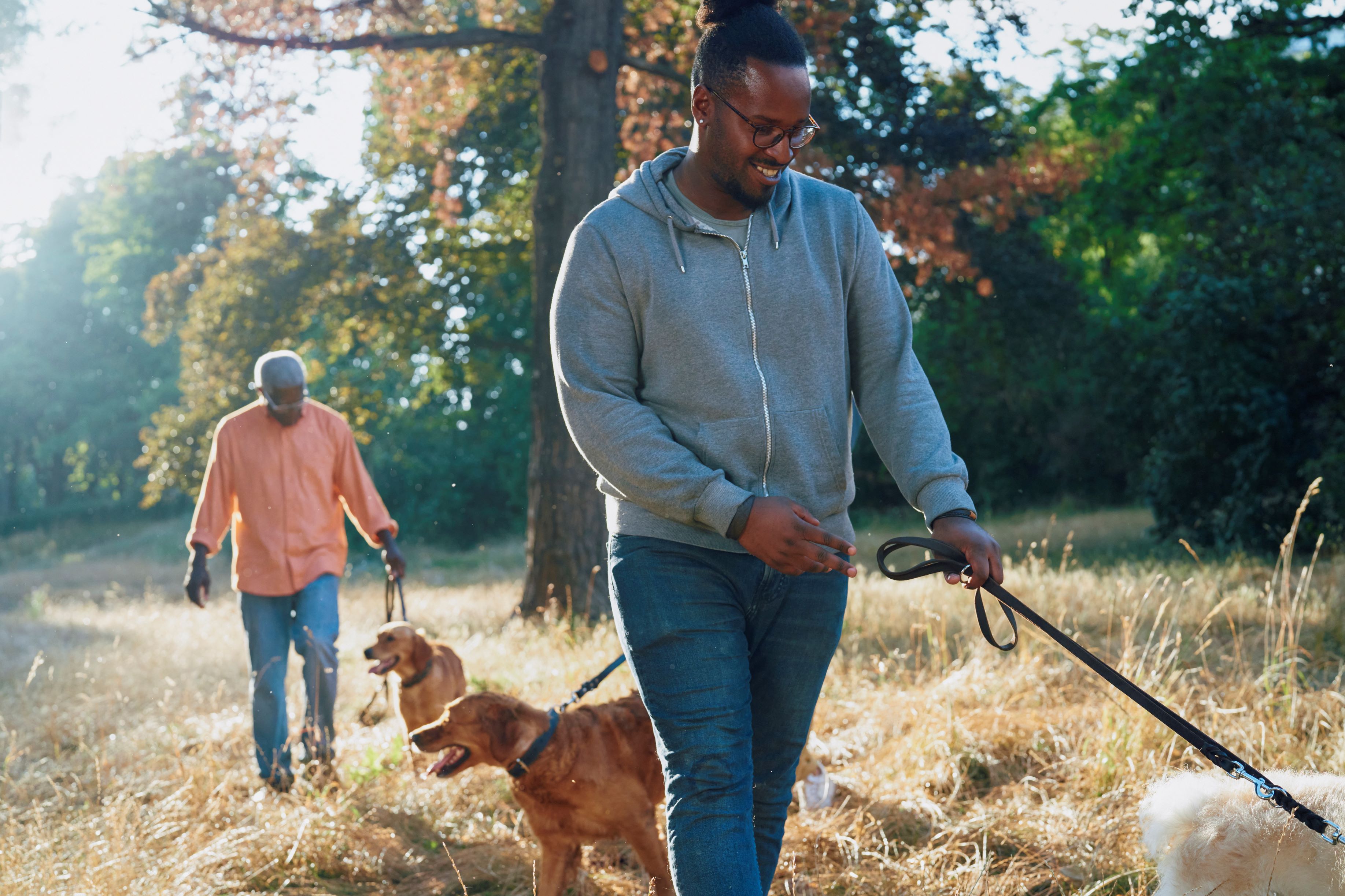 Featured Animal Health Stories | Boehringer Ingelheim UK