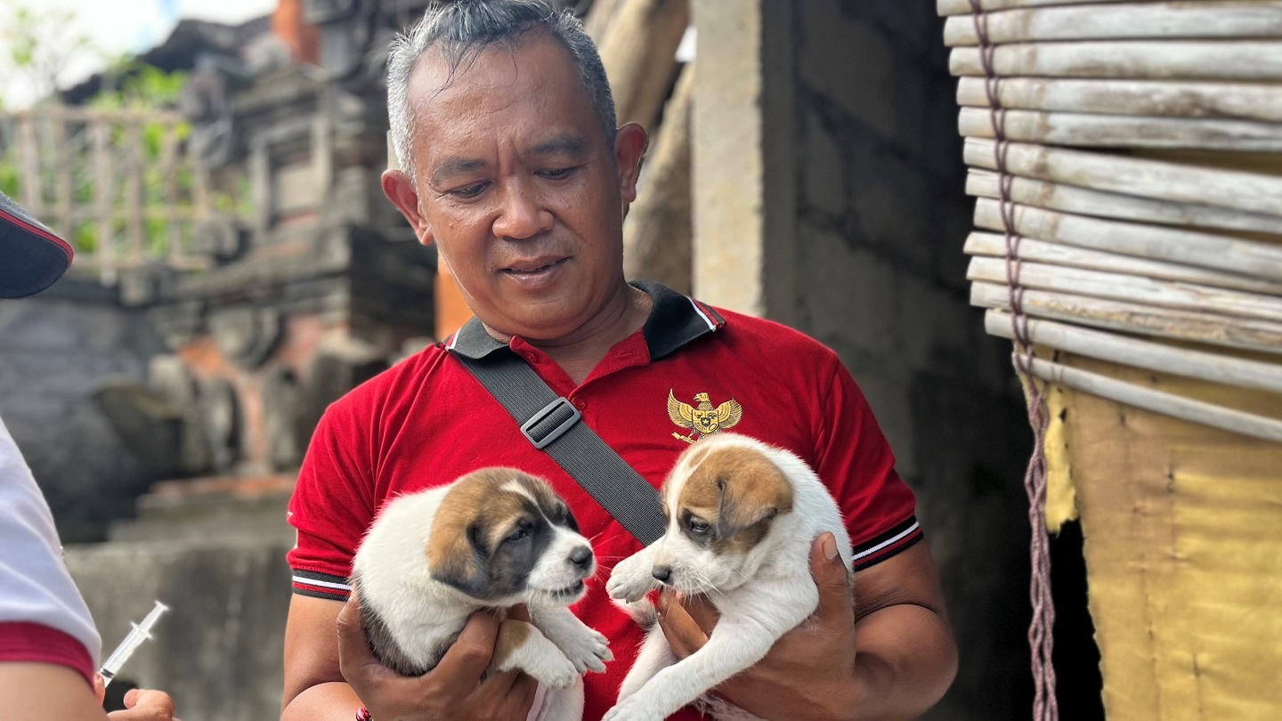 On ne lâche rien pour lutter contre le virus de la rage « zombie ...