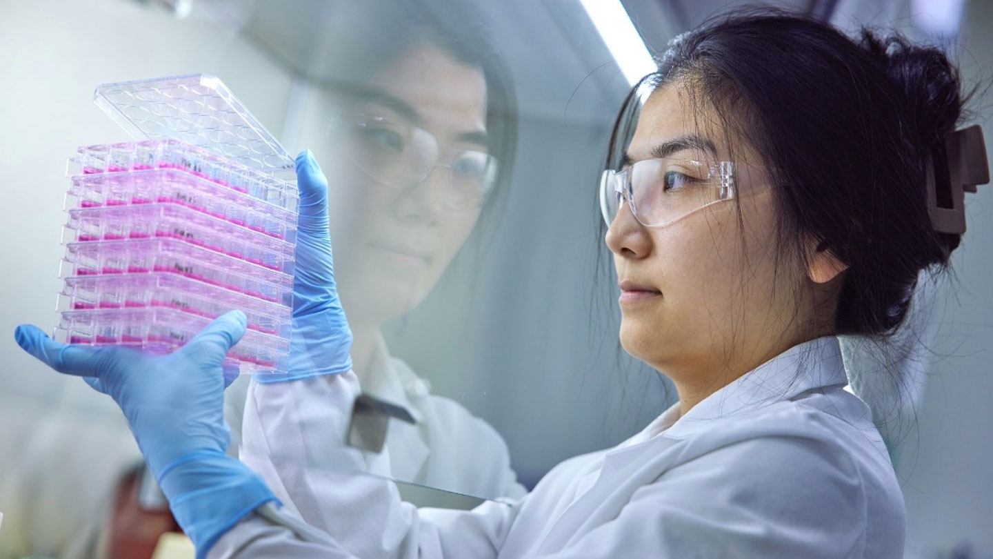 Boehringer’s unique approach to innovation | Boehringer Ingelheim