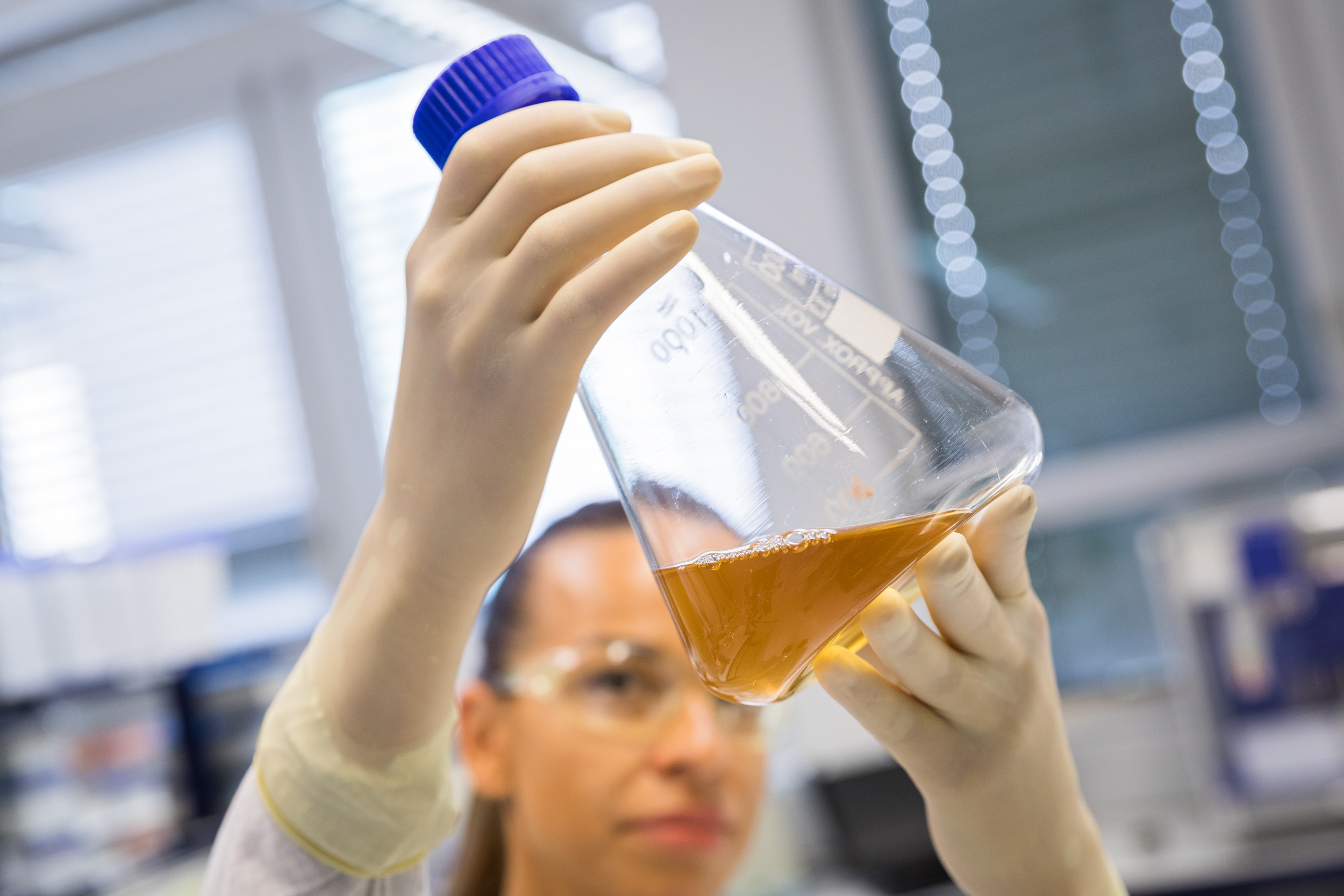 Biopharma plant & process modeling | BioXcellence | Boehringer Ingelheim