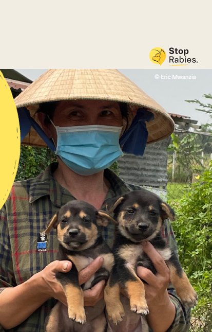 More Stories | Boehringer Ingelheim