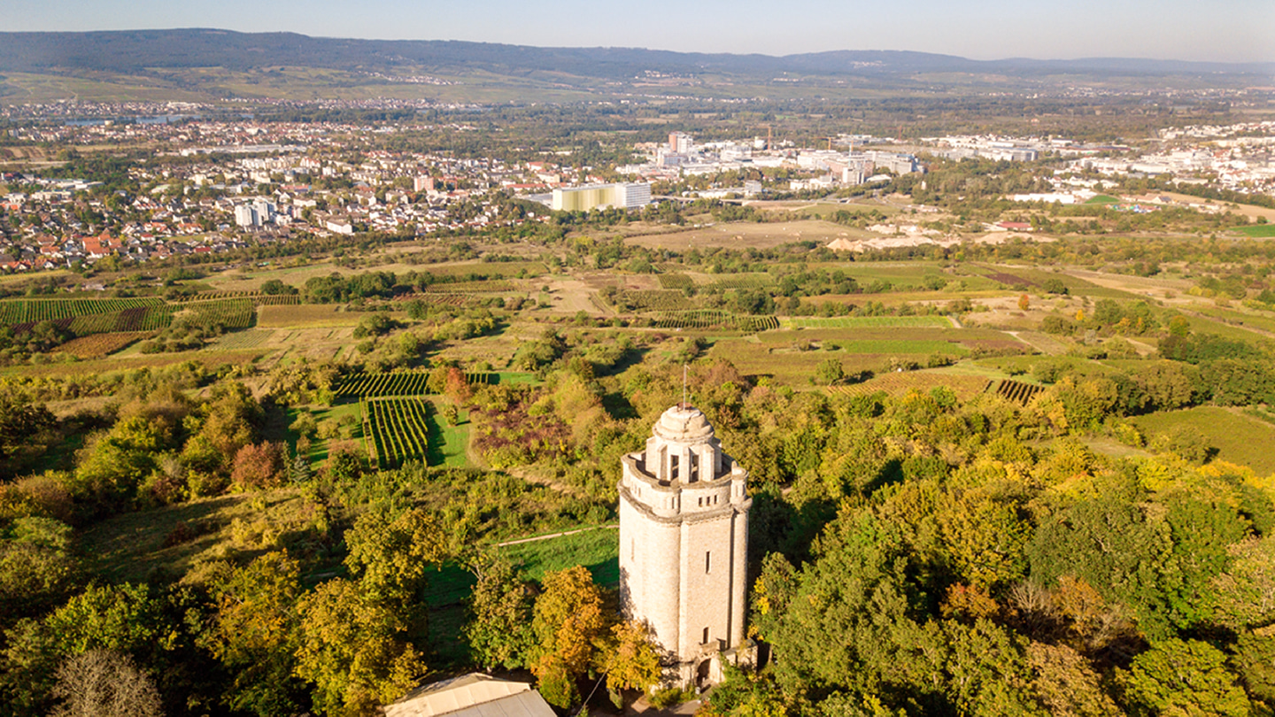 Germany | Boehringer Ingelheim