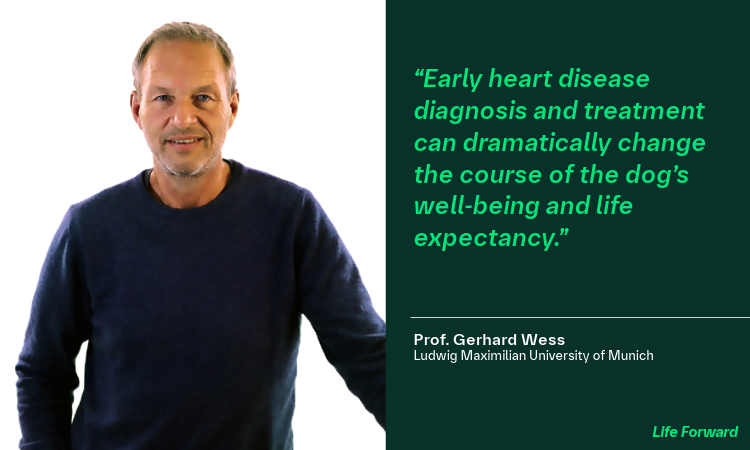 Heart disease in dogs: things you should know | Boehringer Ingelheim