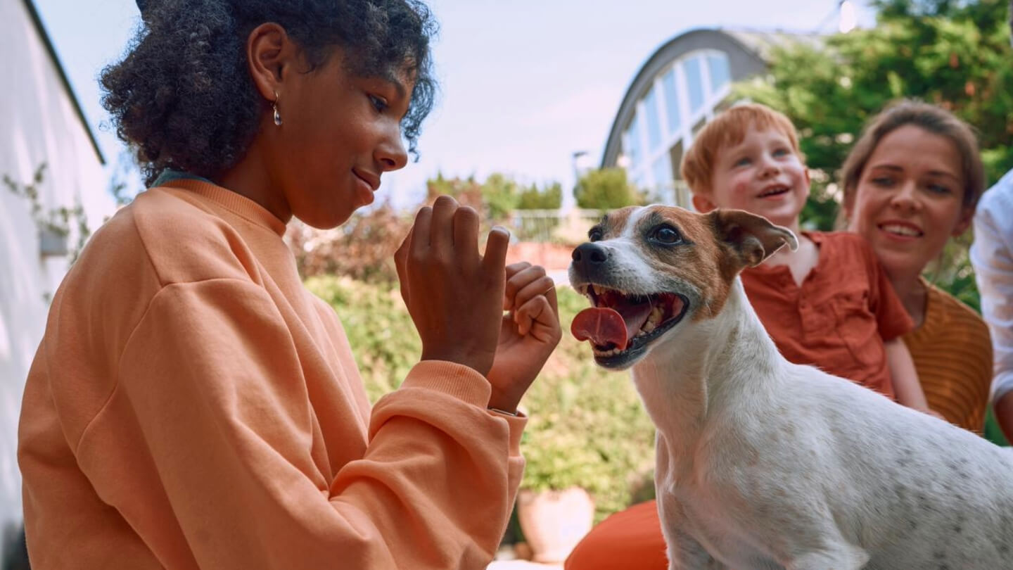 Heart disease in dogs: things you should know | Boehringer Ingelheim