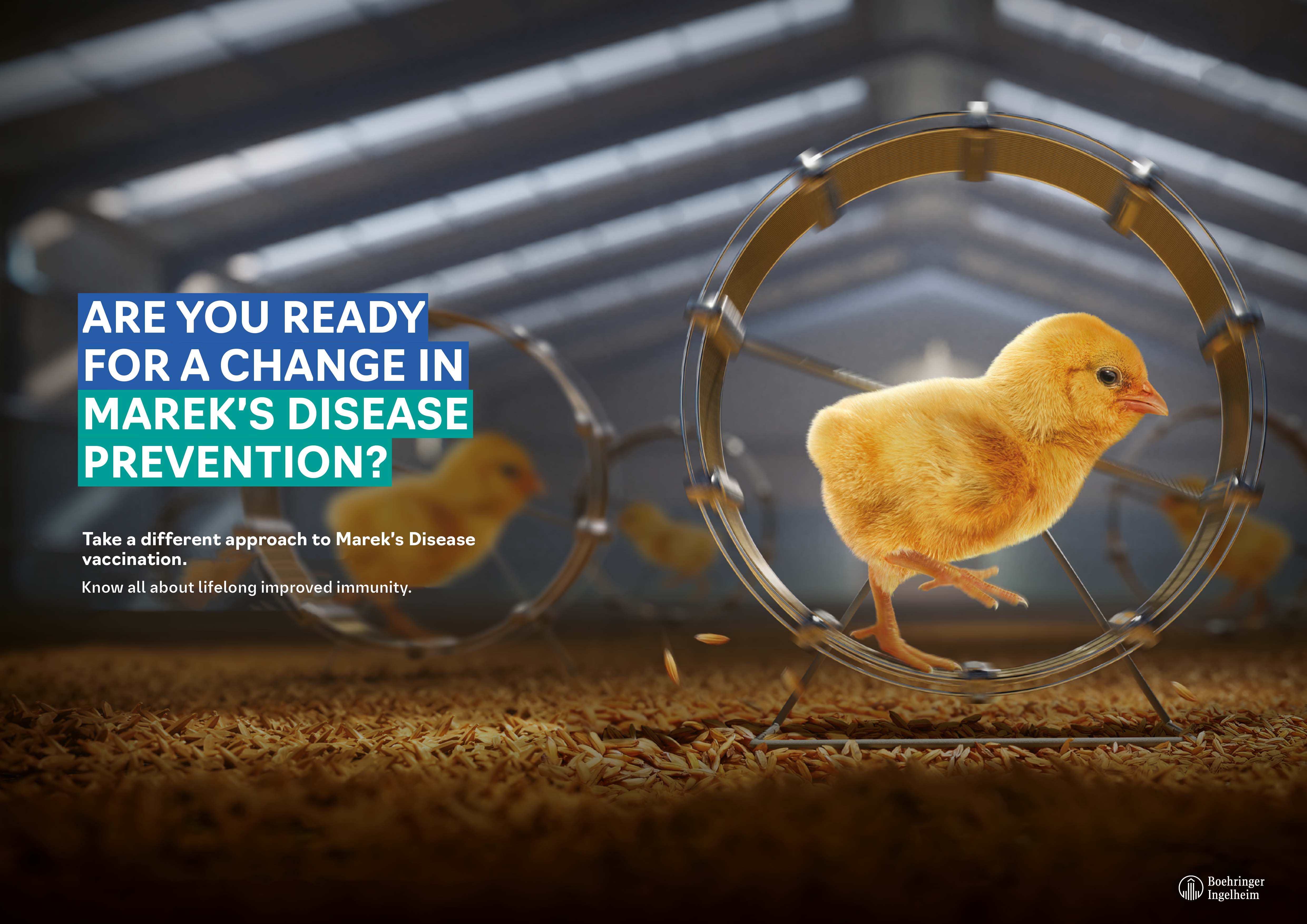 Press | Media Overview | Boehringer Ingelheim IN