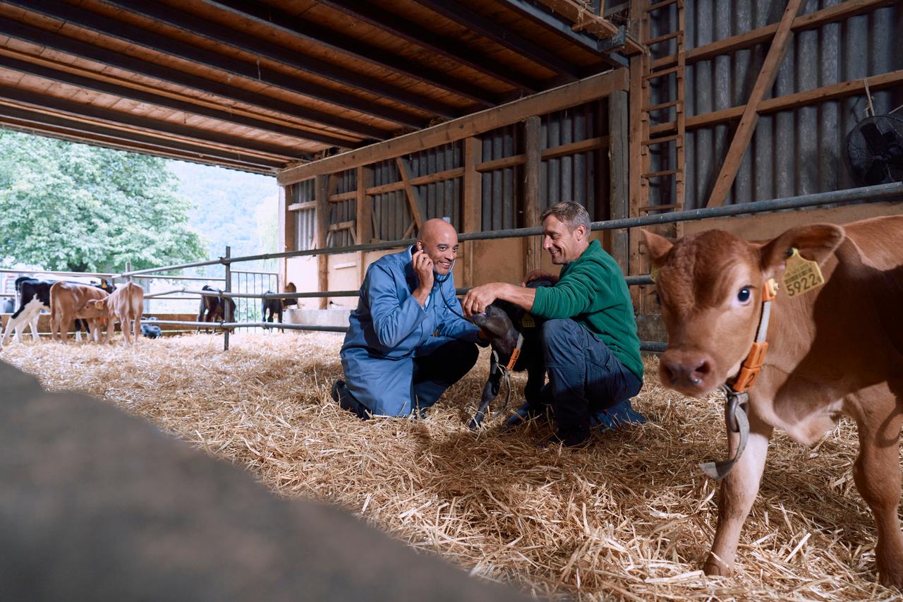 Companion Animals | Boehringer Ingelheim AT