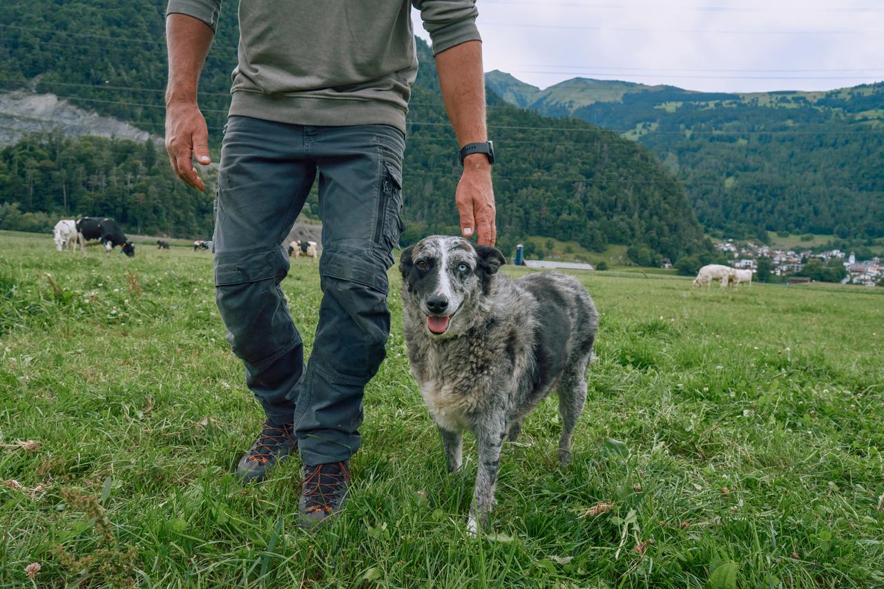 Boehringer Ingelheim & Pets Health | Boehringer Ingelheim