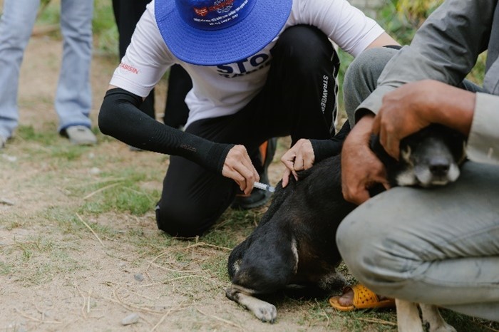« STOP Rabies », vaccination contre la rage : un grand pas pour l’Homme ...
