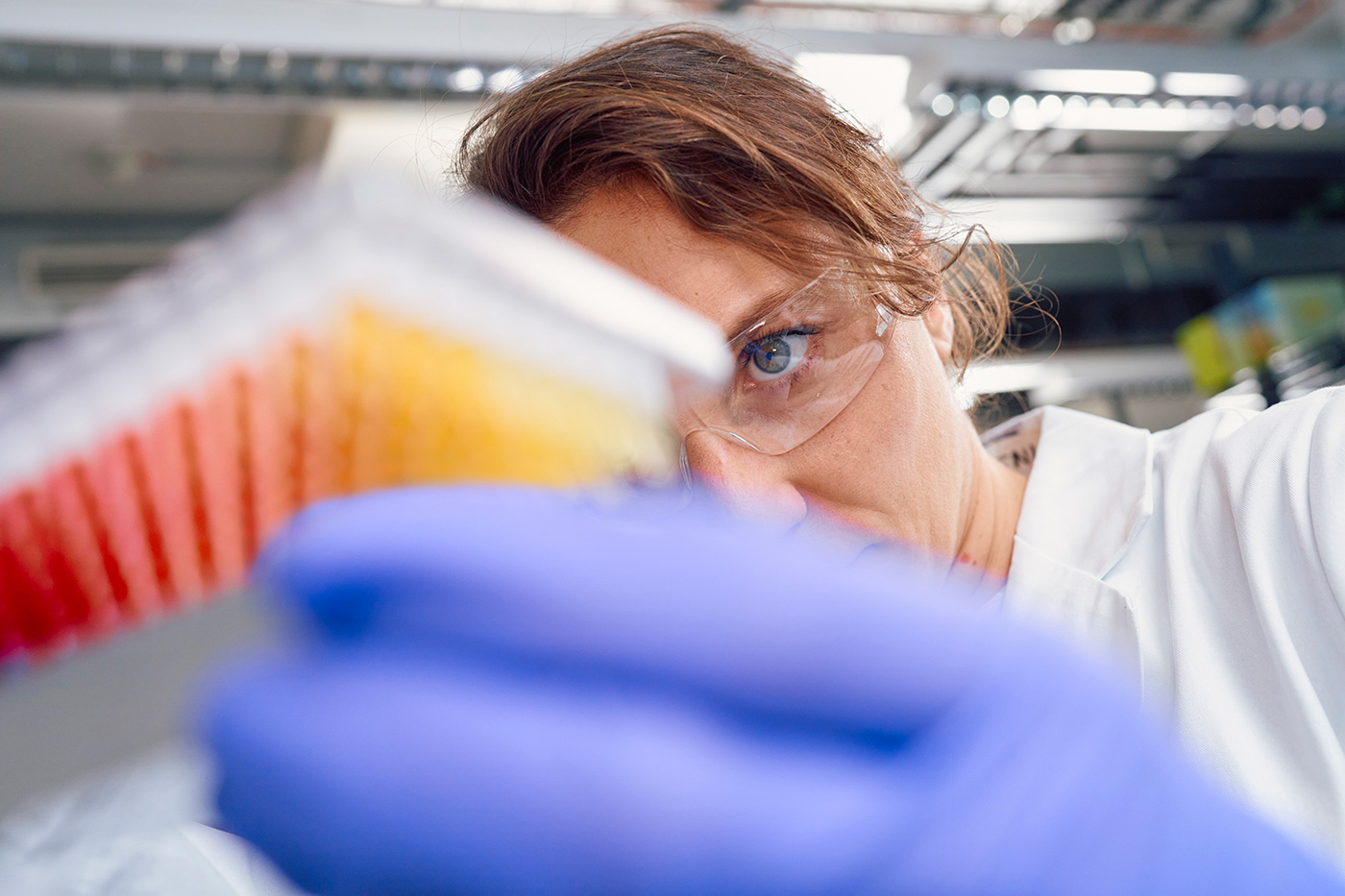 Human Health Innovation | Boehringer Ingelheim US