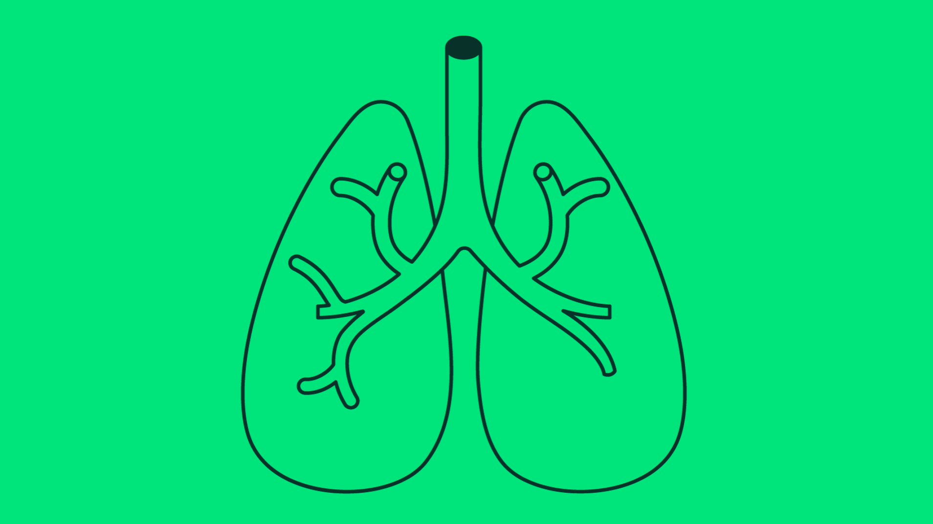 Pneumo Forum | Boehringer Ingelheim