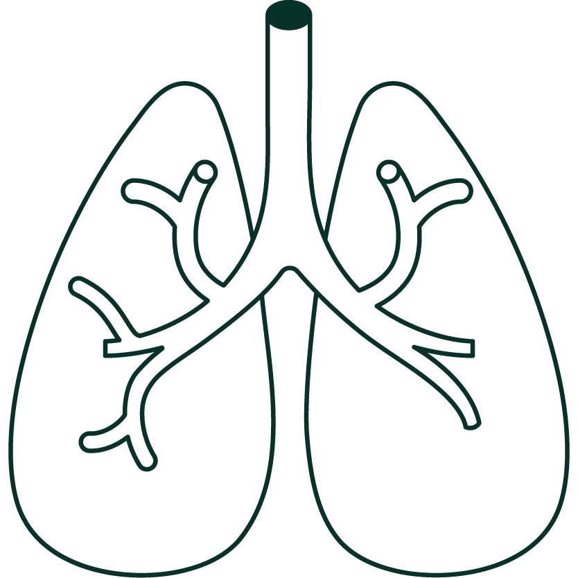 İdiopatik Pulmoner Fibrozis | Boehringer Ingelheim
