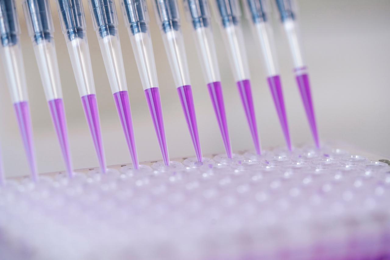 Press Releases & Media Information | Boehringer Ingelheim US