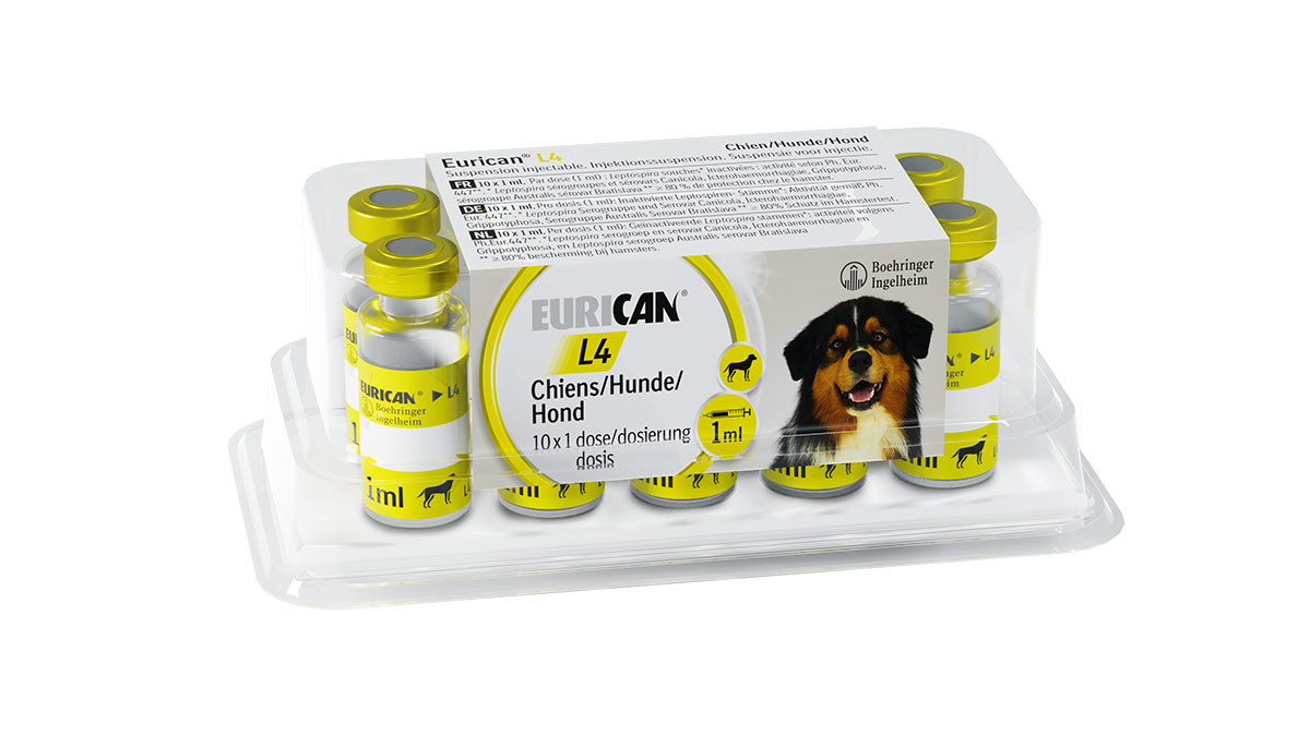 Animales de Compañía| Boehringer Ingelheim