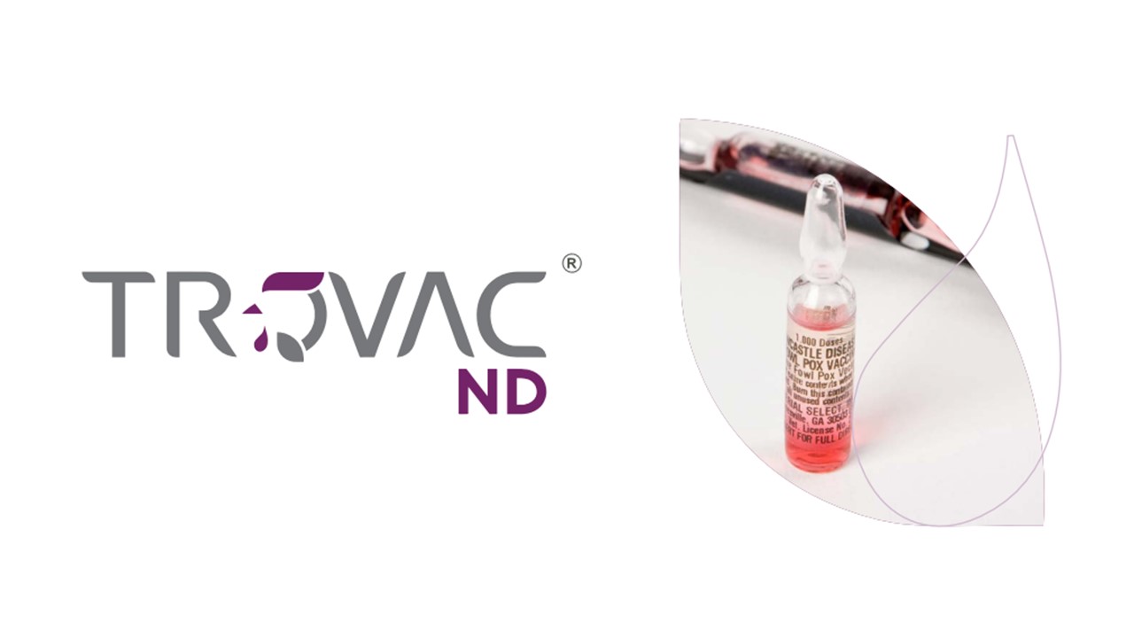 Produtos | Boehringer Ingelheim