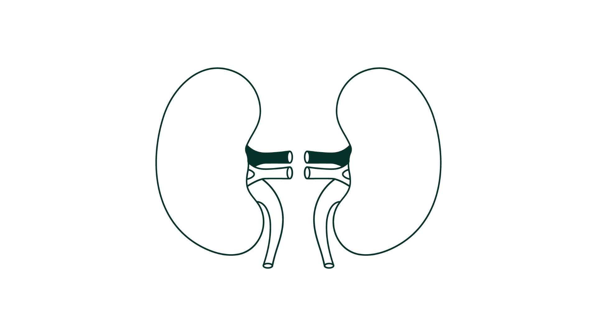 Double Check Your Kidney Health